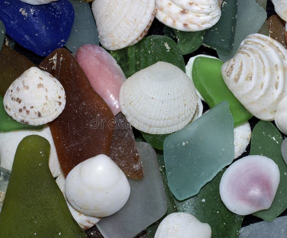 Seashells and Beach Glass stock photo. Image of beach - 48366522