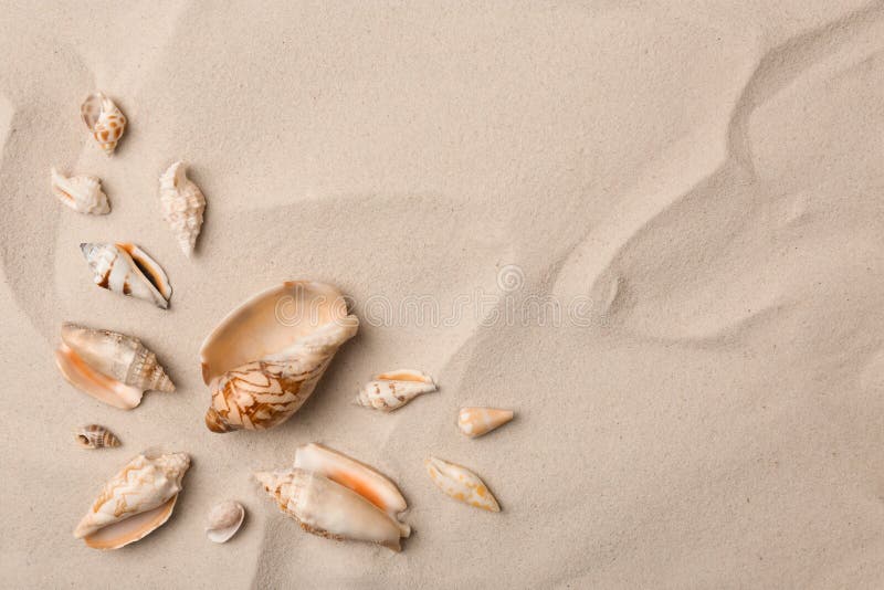 Seashells on Beach Sand, Top View Stock Photo - Image of paradise ...