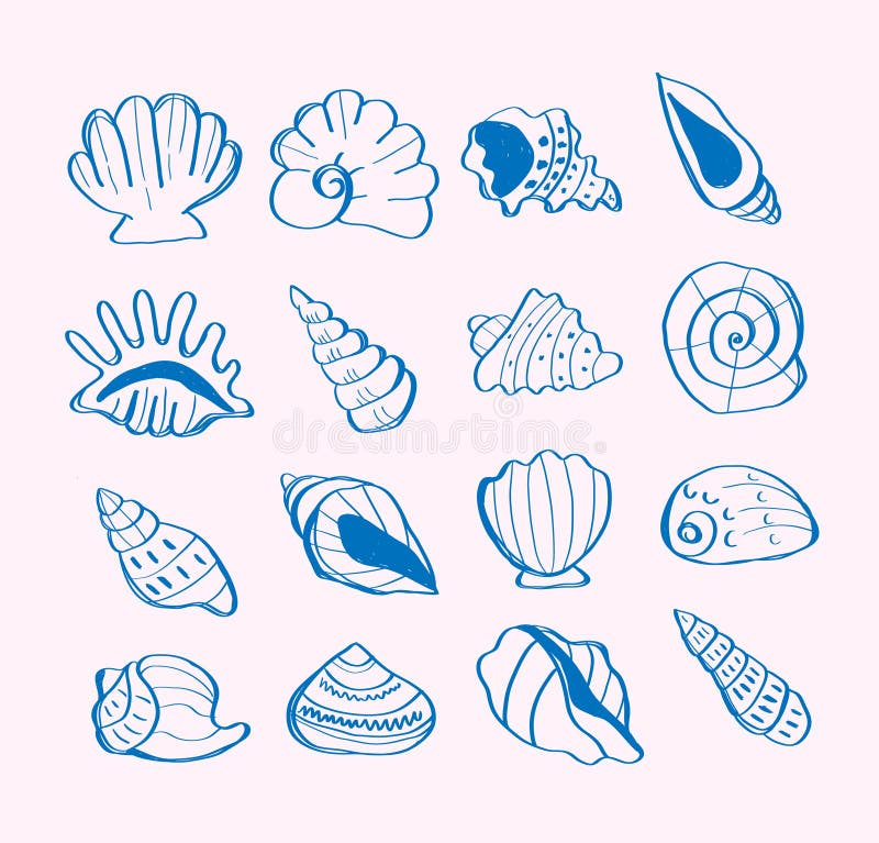 Hand Drawn Shell Stock Illustrations – 35,475 Hand Drawn Shell Stock ...