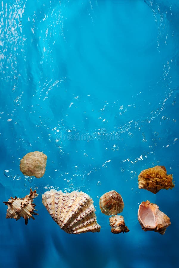Seashells in Bright Blue Ocean Water with Waves and Bubbles Stock Image ...
