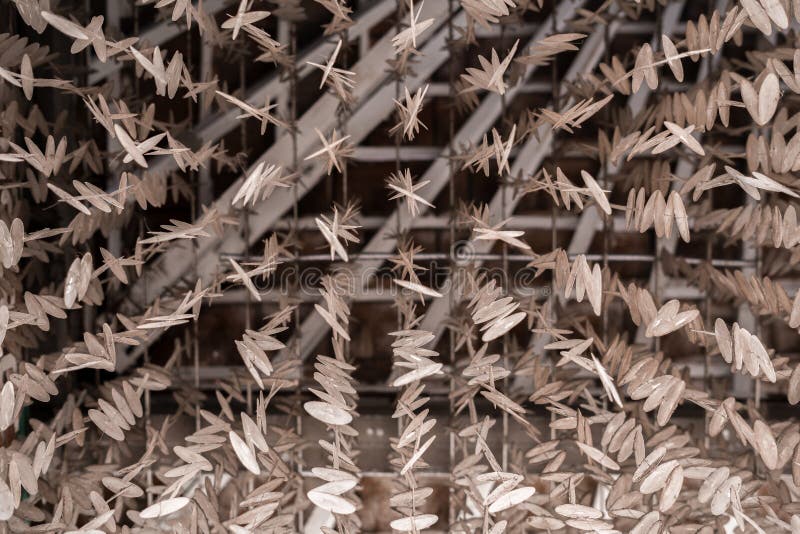 Seashells on the Ceiling Texture Stock Photo - Image of warm, party ...