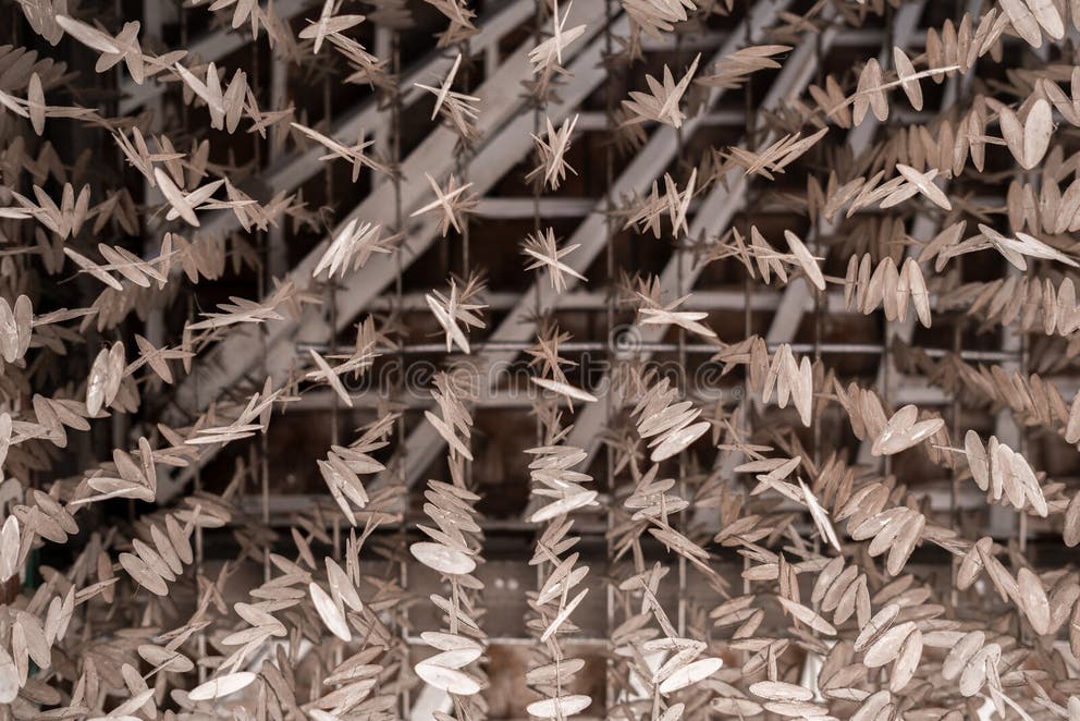 Seashells on the Ceiling Texture Stock Photo - Image of warm, party ...