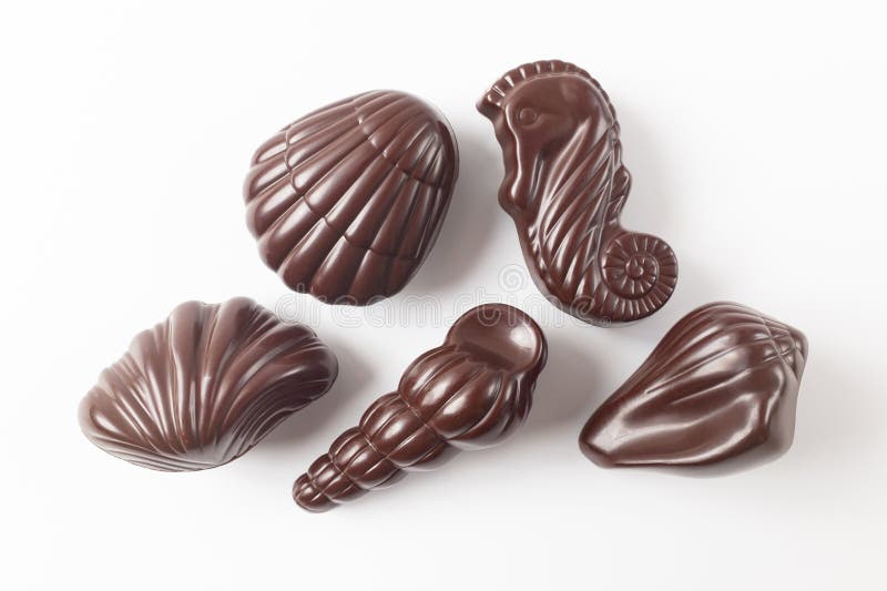 Seashells Chocolate on a White Background Stock Photo - Image of ...
