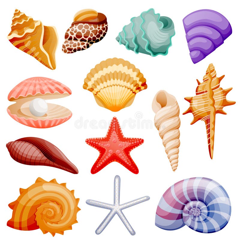 Seashells Collection. Vector Flat Cartoon Illustration Stock Vector ...
