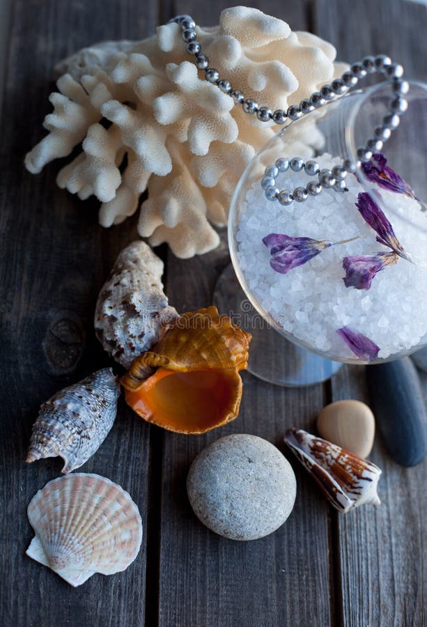 Seashells and Coral on the Wooden Table Stock Photo - Image of copy ...