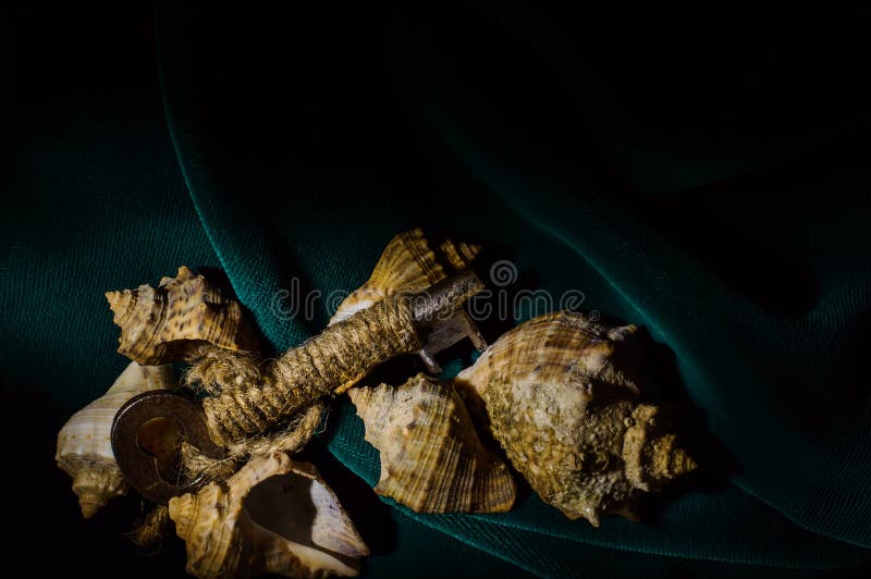 Seashells and Crafting Old Key. Stock Photo - Image of green, structure ...