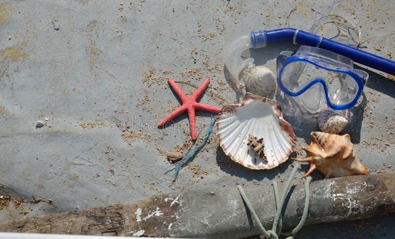 Seashells and Diving Mask in Old Boat Stock Photo - Image of diving ...