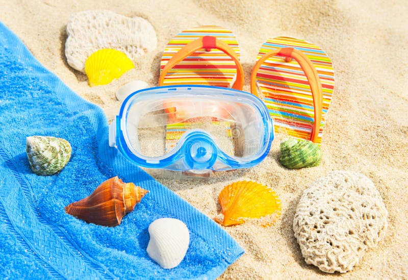 Seashells and Diving Mask on the Beach Stock Photo - Image of diving ...