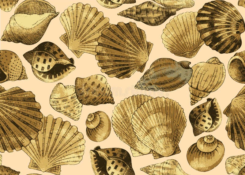 Scallops Graphics Stock Illustrations – 29 Scallops Graphics Stock ...