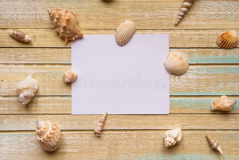 Seashells and Empty Paper for Note Top View Stock Photo - Image of ...