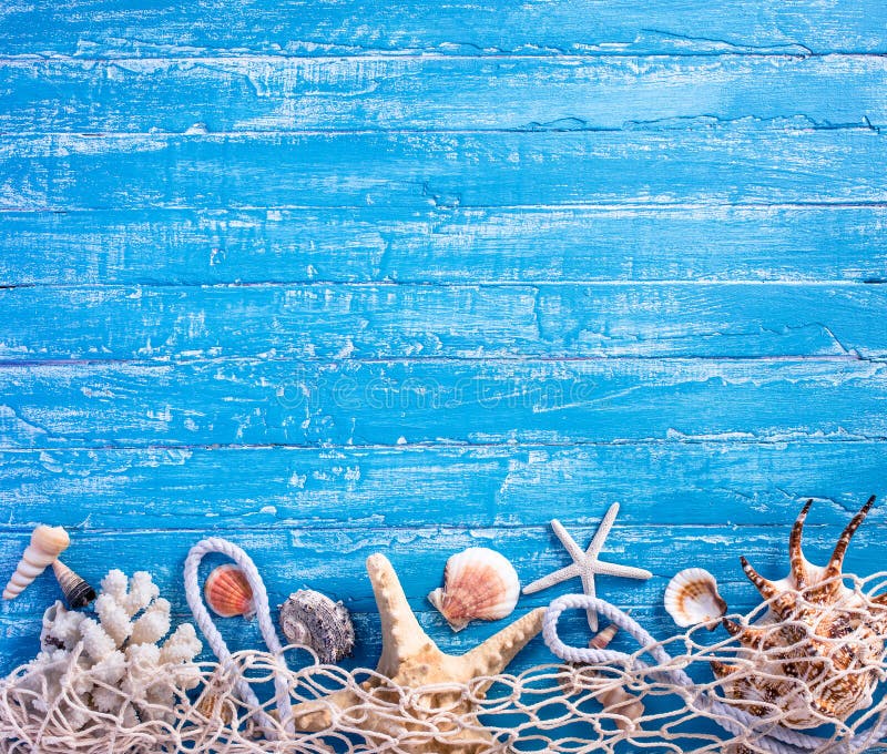 Seashells with Fishing Net on Blue Background Stock Photo - Image of ...