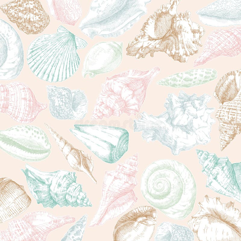 Seashells frame stock vector. Illustration of abstract - 56983196