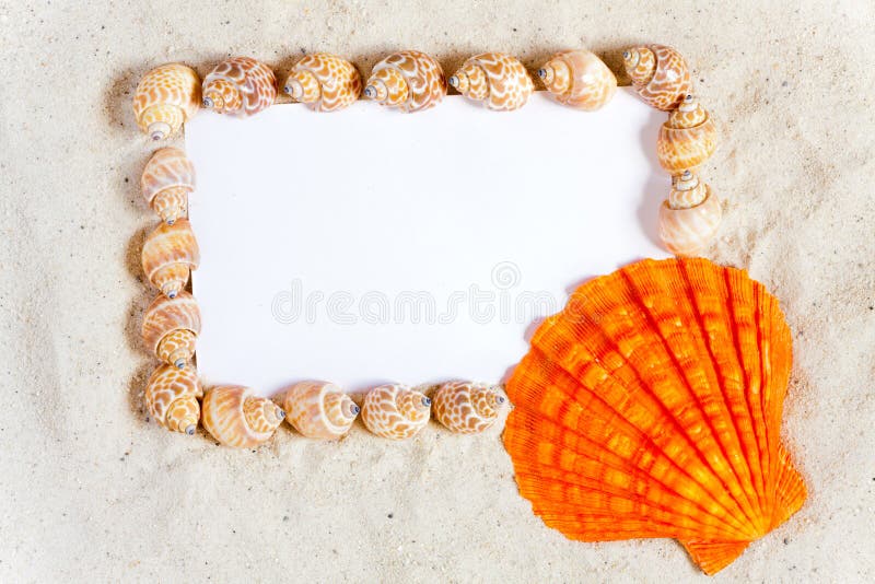 Seashells Frames a Blank White Card Stock Image - Image of symbol ...