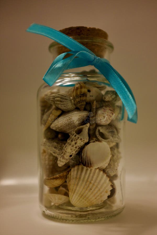 Seashells in a glass jar stock image. Image of decorations - 104694013