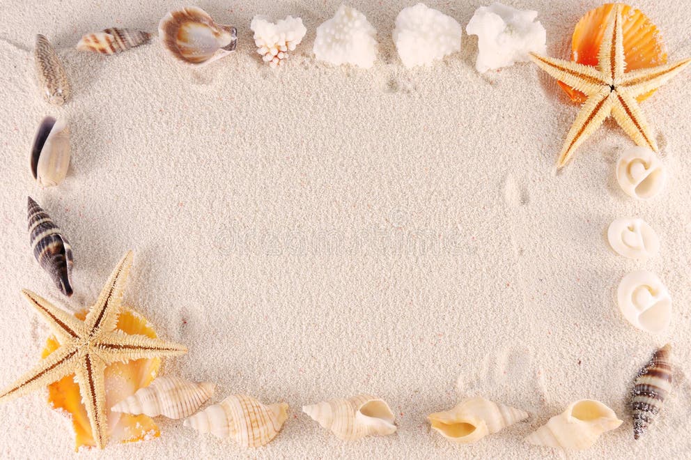 Seashells group stock image. Image of sandy, cockle, dune - 25085953