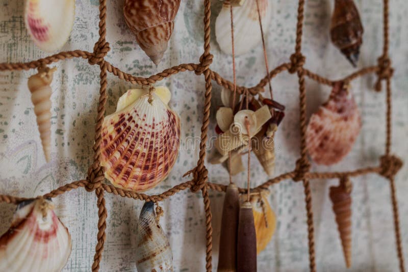 Seashells hanging close. stock image. Image of colorful - 80268977