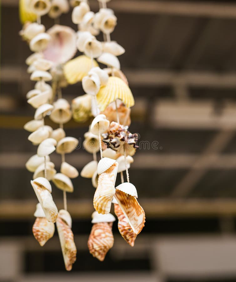 Seashells Hanging Decoration Stock Image - Image of collection, arts ...