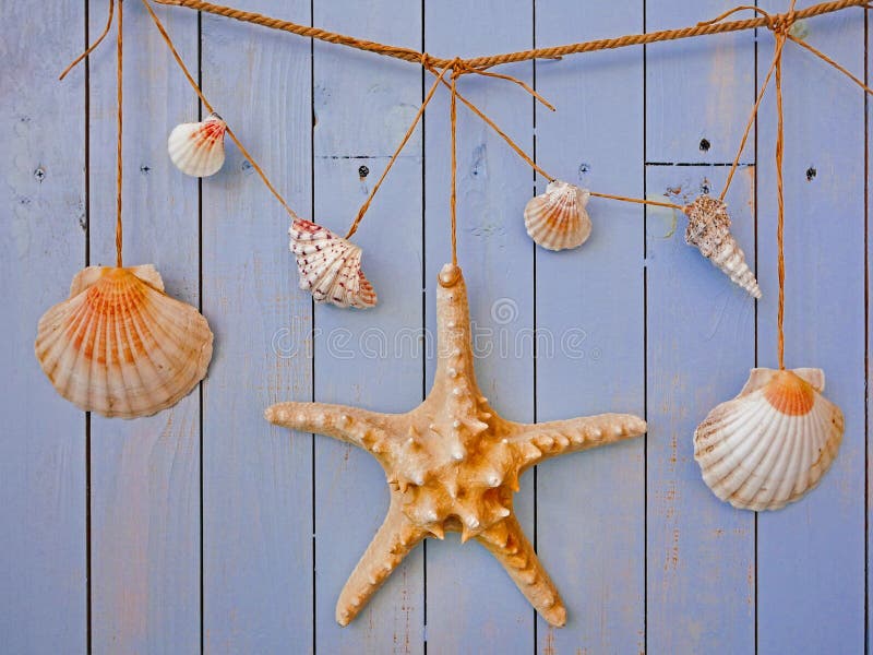 Seashells Hanging on the Rope, Instagram Toning Stock Photo - Image of ...