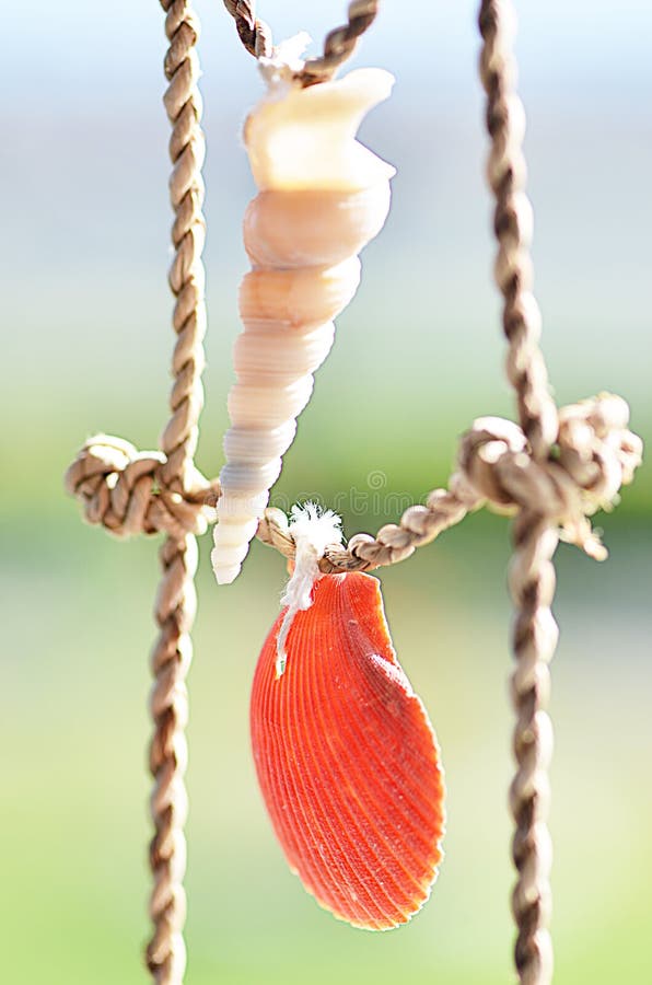 Seashells Hanging on the Rope, Instagram Toning Stock Photo - Image of ...