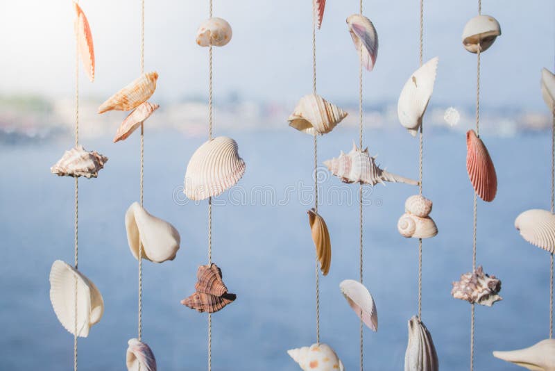 Seashells Hanging on the Rope, Instagram Toning Stock Photo - Image of ...