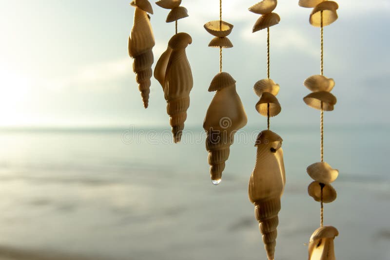Seashells Hanging on the Rope, Instagram Toning Stock Photo - Image of ...