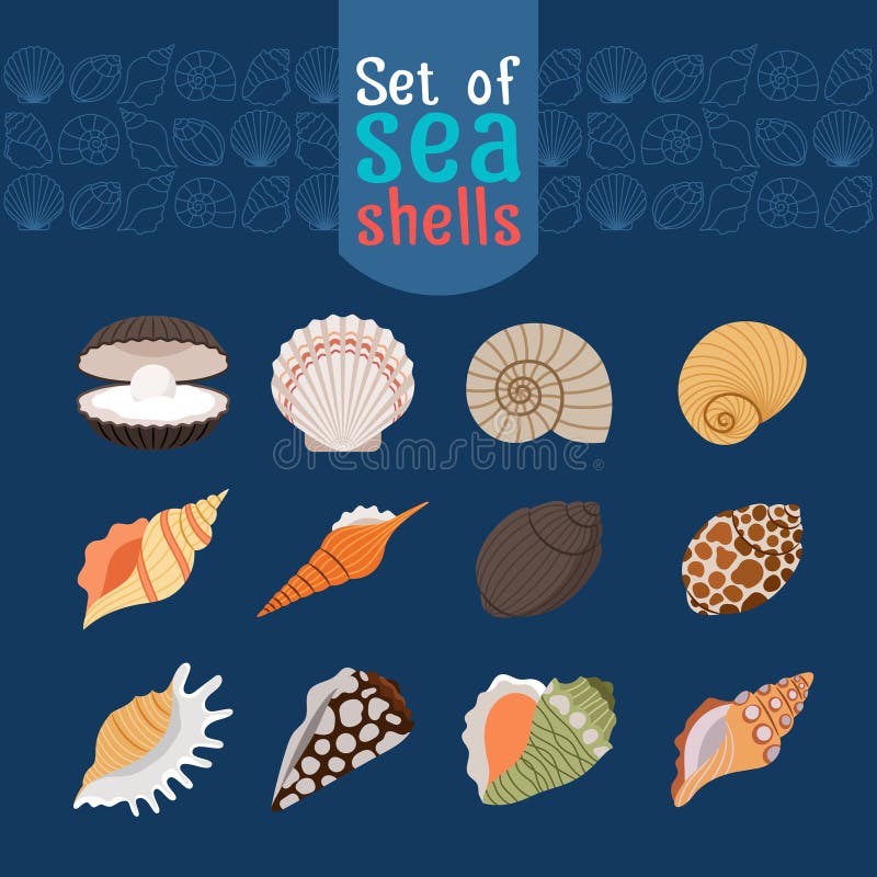 Seashells Icons in Flat Style Stock Vector - Illustration of cone, blue ...