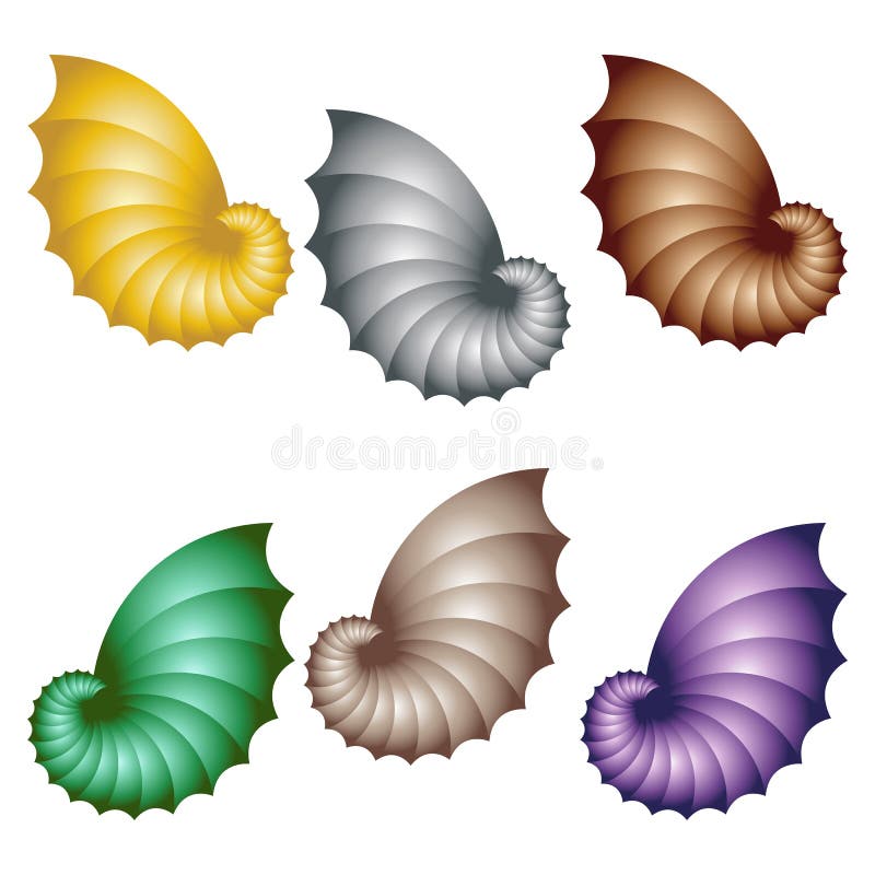 Seashells Isolated on White. Set of Colorful Shells Stock Vector ...