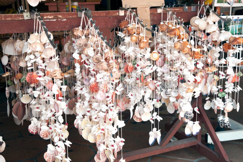 Seashells Made from Variety Shells. Stock Photo - Image of beauty ...