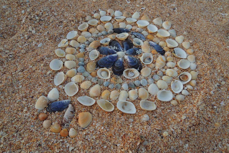 Handmade Circle Seashells Pattern Shell Sand Top View Stock Photos ...