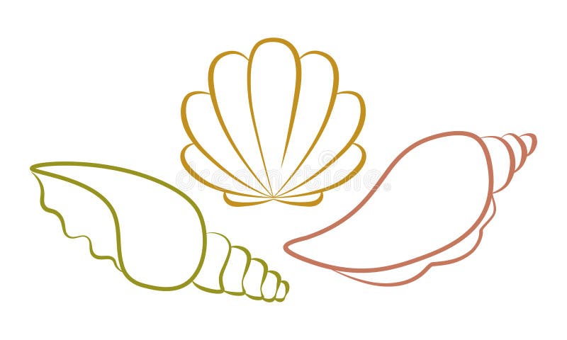 Seashells Outline Vector Illustration in Sketch Style, Decorative ...