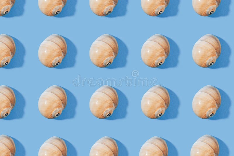 173 Shell Repeating Pattern Stock Photos - Free & Royalty-Free Stock ...