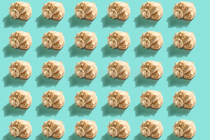 Seashells Pattern on the Turquoise Background Stock Photo - Image of ...