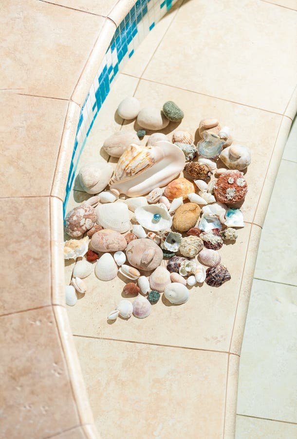 Seashells and Pebbles Lying on Bottom of Swimming Pool Stock Image ...