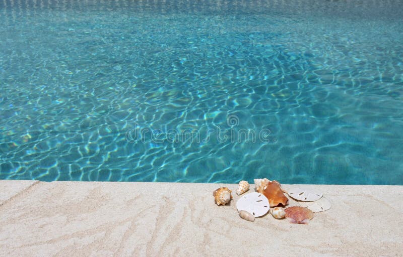 Seashells on a pool deck stock image. Image of tropical - 5574909