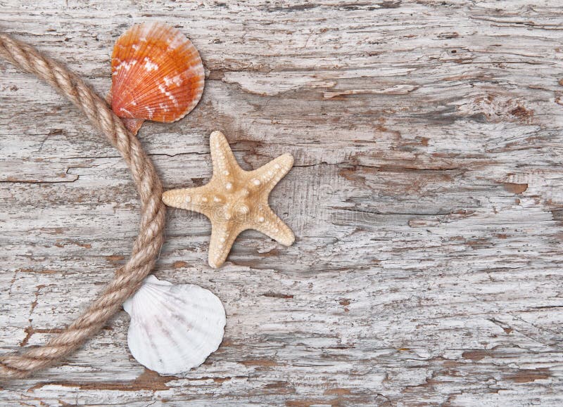 Seashells and Rope on the Old Wood. Marine Background Stock Image ...