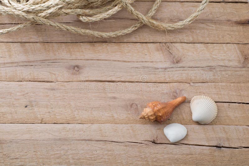 Seashells and Rope on Plain Wooden Boards Stock Photo - Image of close ...