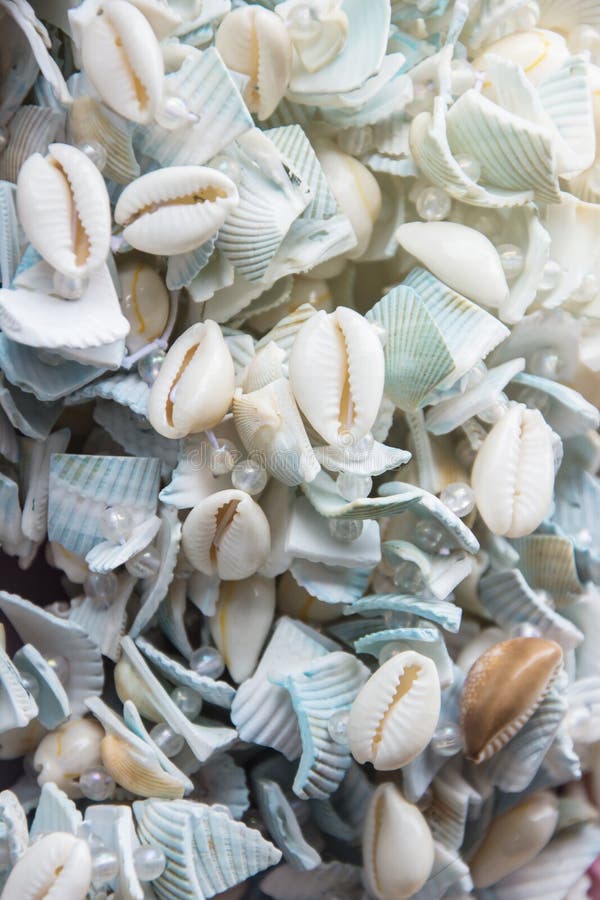 Seashell string curtain stock image. Image of handmade - 44903789