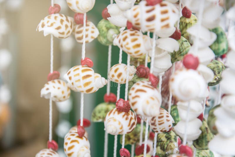 Seashells on Rope Thread for Background Stock Photo - Image of ...
