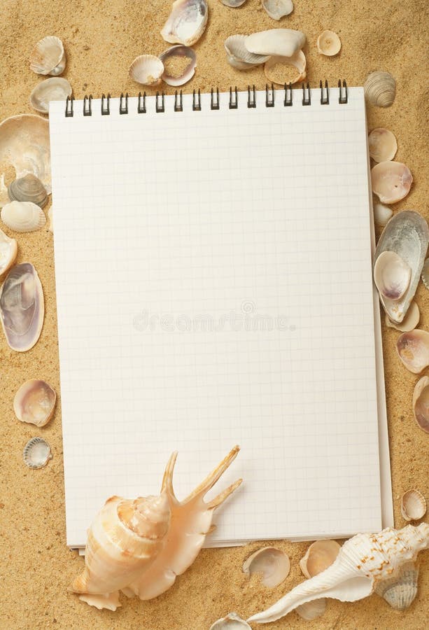 Seashells in sand stock photo. Image of beautiful, sandbeach - 27547304