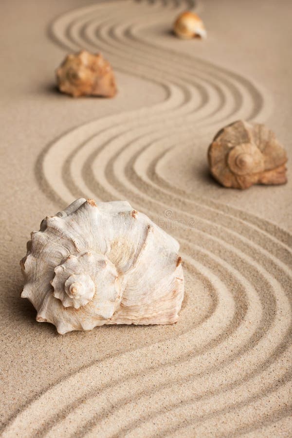 Seashells on the sand stock image. Image of border, striped - 40328169