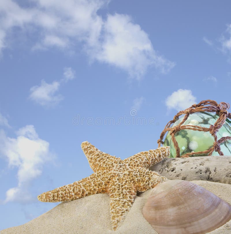 Seashells on Sand with Glass Ball Stock Photo - Image of ocean, aloha ...