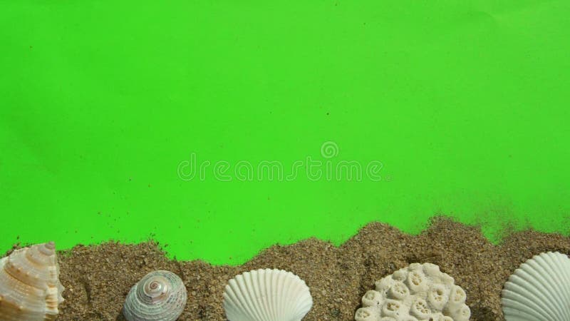 Seashells and Sand on a Green Screen. Stock Footage - Video of channel ...