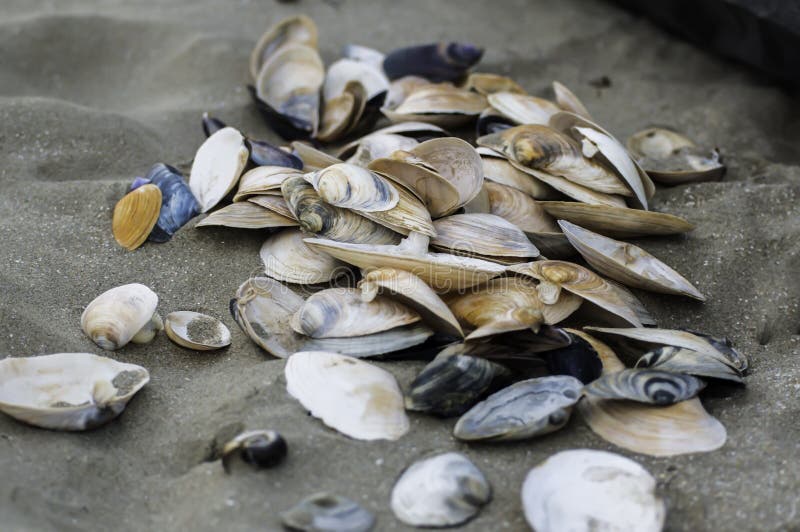 Fuzzy Rocks stock photo. Image of holiday, nature, erie - 26578956