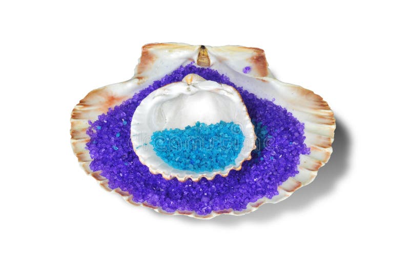 Large Purple Seashell stock photo. Image of tourism, vacation - 20901272