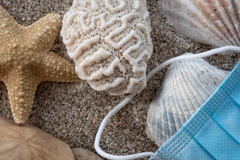 Seashells on Sand with Single-use Disposable Face Mask Stock Image ...