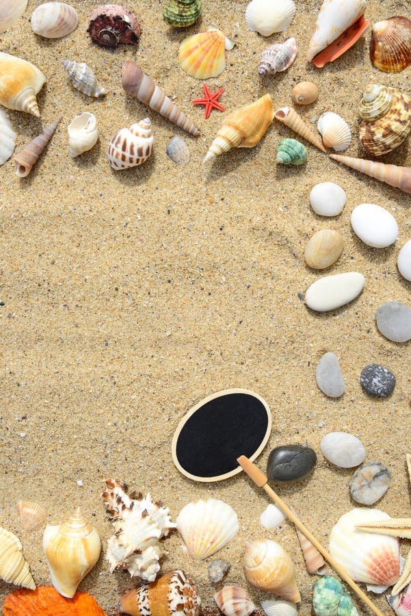 Seashells in sand stock image. Image of colorful, shell - 78531493