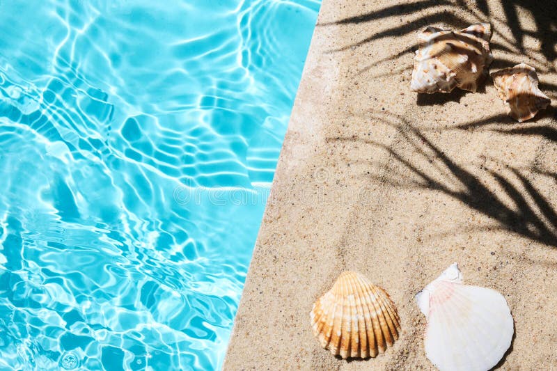 Seashells by the Pool. Seashells on a Sandy Surface beside a Bright ...