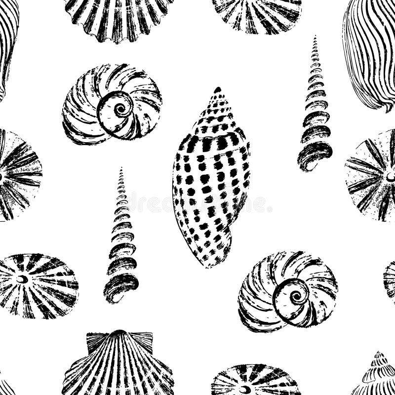 Seashells Ink Drawing Stock Illustrations – 336 Seashells Ink Drawing ...