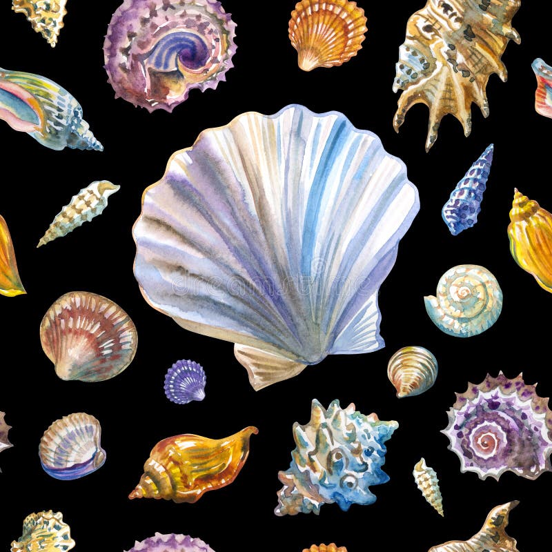 Seashells Seamless Pattern on a Black Background Stock Photo - Image of ...