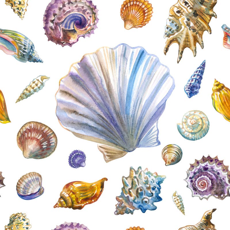 Seashells Seamless Pattern on a White Background, Watercolor Stock ...
